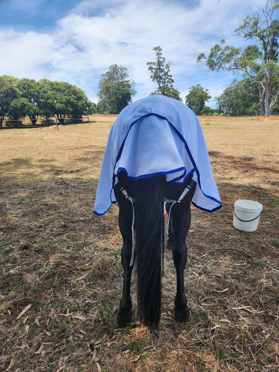 Flag Rug – Murrong Equestrian