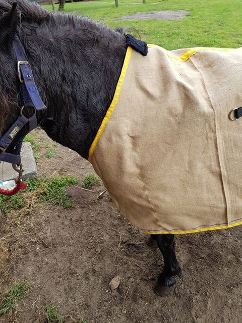 Hessian Rugs under 4'9 – Murrong Equestrian