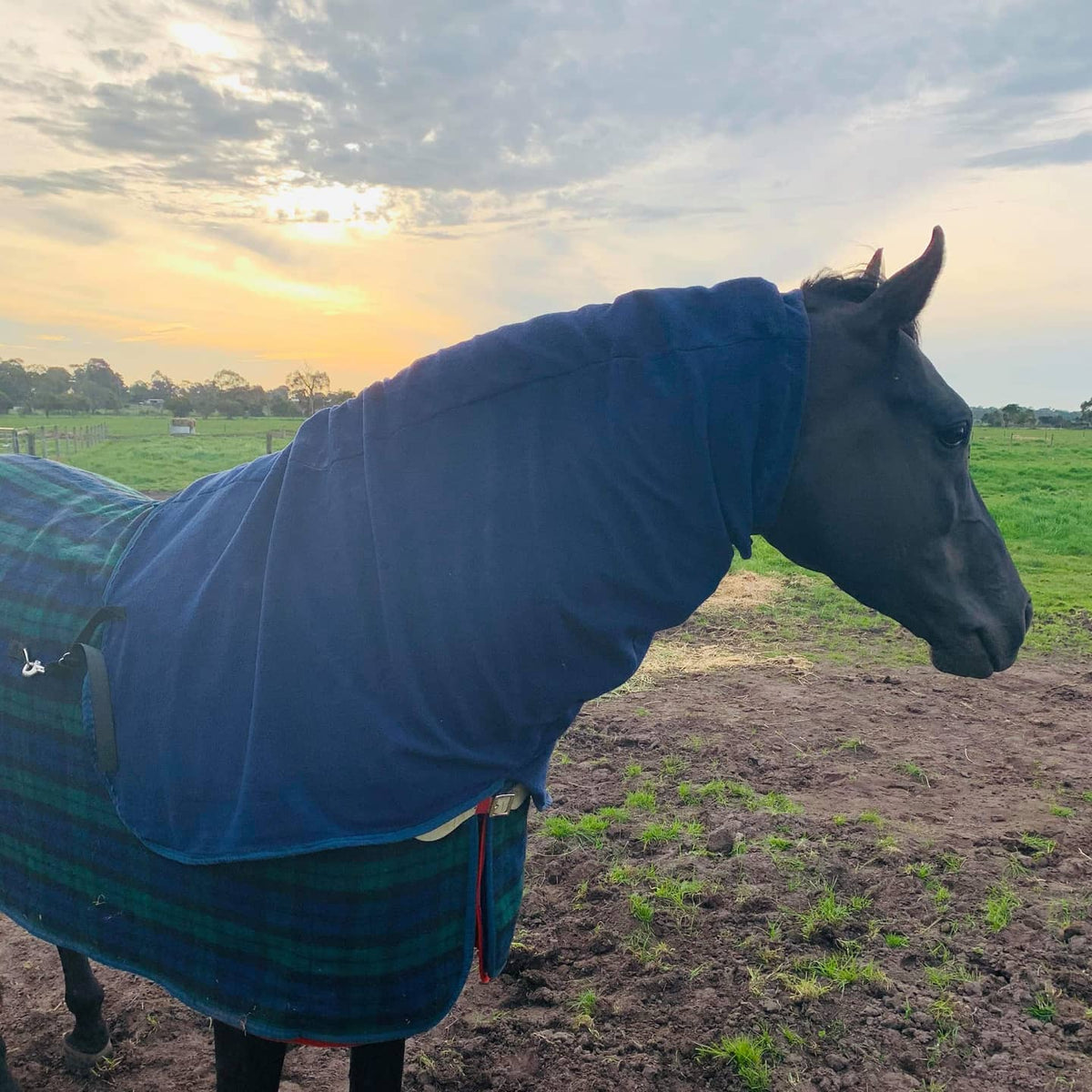 Scrunchie Polar Fleece Neck Rug – Murrong Equestrian