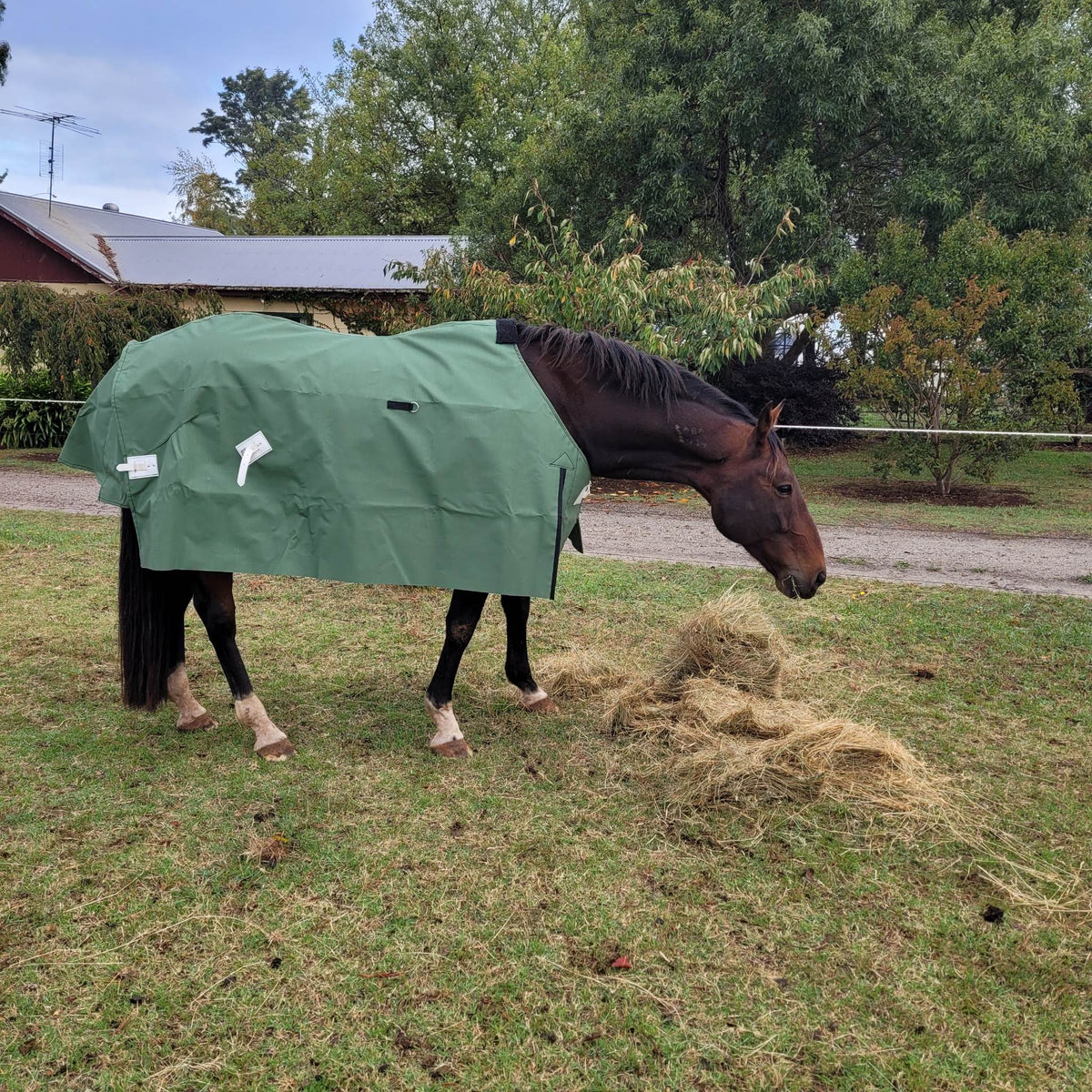 Unlined Canvas Rug with Gussets with Safety Leg Straps – Murrong Equestrian